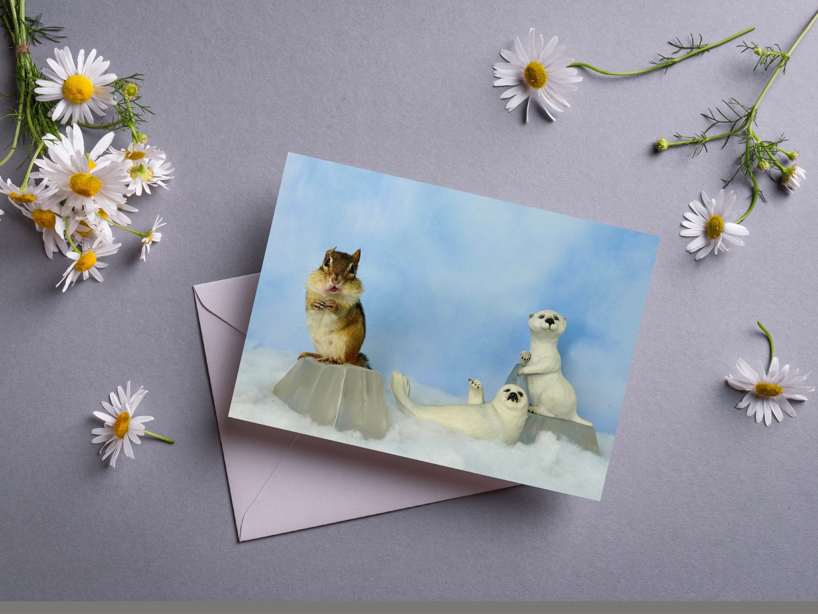 Chipmunk Winter with Seal and Otter Notecard – Mostly Magic Market